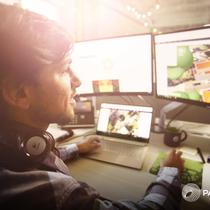 Palmetto Solar: 2022 Profile and Reviews | EnergySage